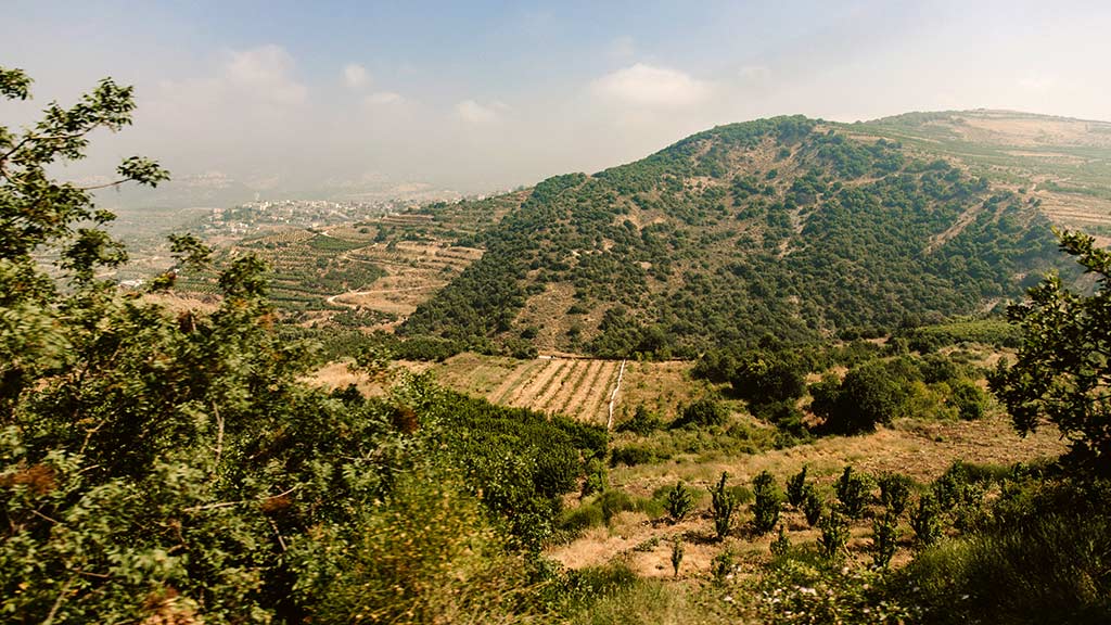 Where Do I Begin: The Hebrew Meaning of Bereshit — FIRM Israel